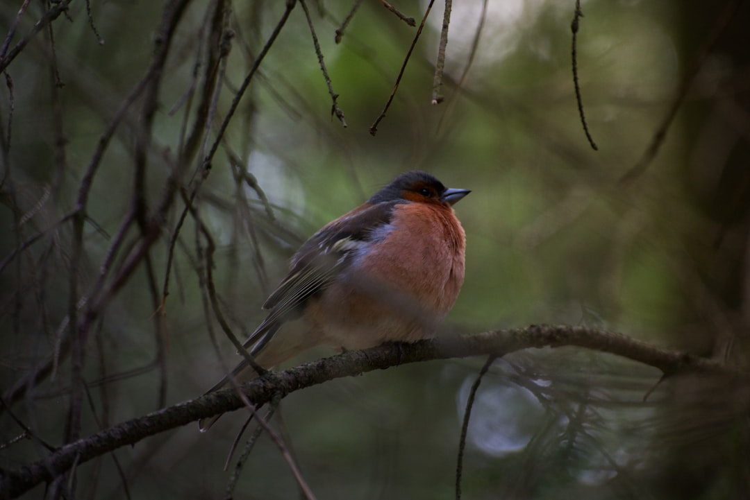 Sandnes | The Port Guide